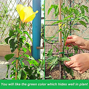 Vivifying Green Garden Twine, 656 Feet 2mm Natural Jute Twine String for Climbing Plants, Tomatoes, Floristry, Gift Wrapping, Crafts