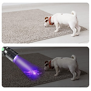 COSOOS 2 Pack UV Flashlight Black Lights, USB Rechargeable UV Light with 7 Modes, IPX 4 Waterproof, Zoomable Pet Urine Detector for Stains, Bed Bugs, Scorpions, Emergency