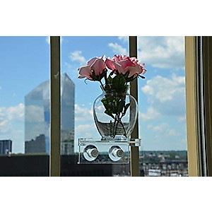 LaBrinx Designs Small Suction Cup Shelf - Live Plants, Windows, and Bathrooms