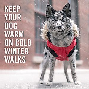 Canada Pooch | North Pole Parka (20 (19-21" back length), Red)