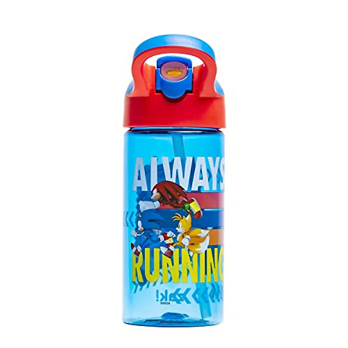 Zak Designs Sonic the Hedgehog Kids Water Bottle with Spout Cover and Built-in Carrying Loop, Made of Durable Plastic, Leak-Proof Water Bottle Design for Travel (17.5 oz, Non-BPA, Pack of 2)