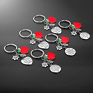 iJuqi Teacher Gifts for Women - 6PCS Keychain, Appreciation,Thank You, Birthday, Valentine's Day, Christmas Gifts for Teachers