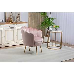 hegmentine Modern Accent Home Office Chair Desk Chair Task Vanity Chair Makeup Chairs Velvet Living Room, Bedroom…(Iceberry Pink)