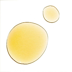 Butta by Belle Bar Onion & Garlic Ayurvedic Hair Oil