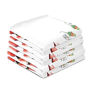 Summer Tropical Strawberries Kitchen Towel Set Cardinal Birds Dish Towel Set of 1 Tea Towels Large 28''x18'' Multi-Purpose Washing Cloth Home Decorative Lint-Free Dishcloths for Restaurant Household