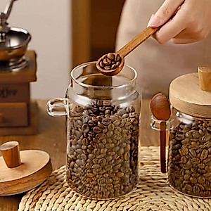 ANSQU Glass Jar with Wooden Lid & Spoon, 20.3oz Food Storage Containers Coffee Jar Coffee Grounds Container, Coffee and Food Storage Canister (1 Pack)