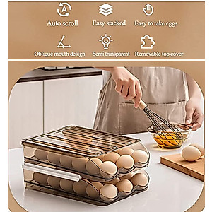 ZYDZ Automatic Rolling Egg Holder for Refrigerator, Fridge Organizers and Storage Space Saver Tray Container Bins Box (Two Layers)