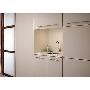 Delta Faucet Trinsic Gold Bar Faucet, Gold Bar Sink Faucet Single Hole, Wet Bar Faucets Single Hole, Prep Sink Faucet, Faucet for Bar Sink, Gold Kitchen Faucet, Champagne Bronze 1959LF-CZ