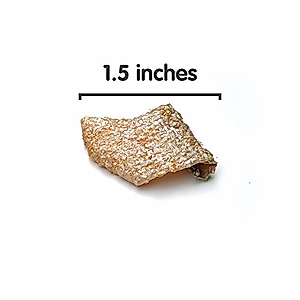 Snif-Snax Human Grade Dog Treats - All-Natural Salmon Skin Cracklings, 1.5oz