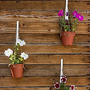 6 inch Plant Hanger Wall Hooks for Hanging Bracket Lanterns Coats Heavy-Duty Metal Hooks for Plant Hangers Flower Basket Lights and Artworks Home Decor Indoor & Outdoor 2 Pack Screws Included