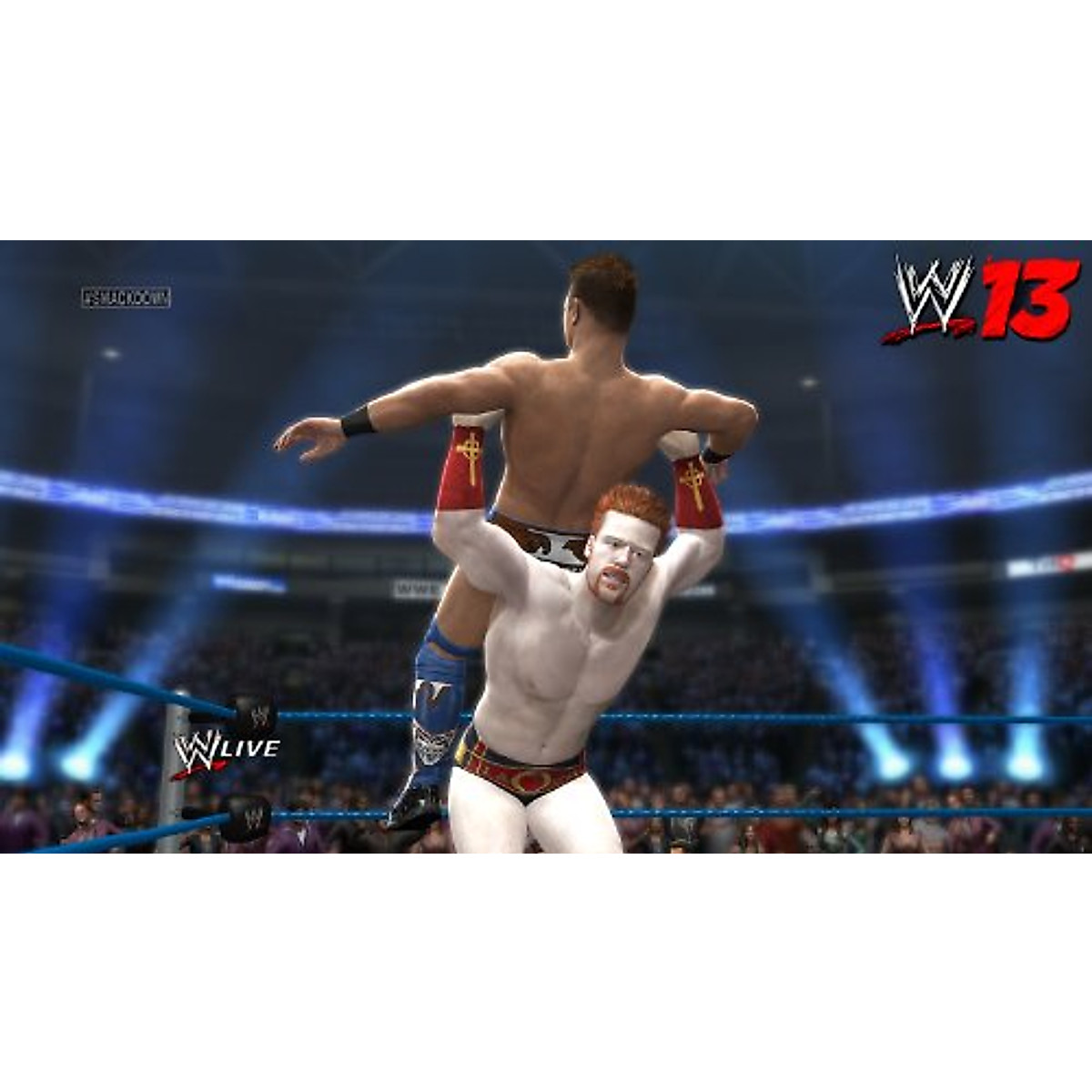 WWE '13