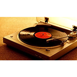 Discwasher Record Cleaner, Record Cleaner, Set of 4, Stylus Brush, Velvet Brush, Cleaning Liquid Pouch