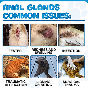 Anal Gland Spray for Cats, Cat Anal Gland Spray with Aloe Vera & Chamomile Eliminates Tough Odors, Supports Pain Relief & Soothes Itching - Pet Supplies Anal Gland Support Spray for Cats - 4.4 Fl Oz