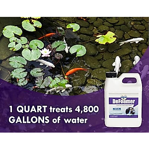 KoiWorx Defoamer - 32oz- Removes Foam from Decorative and Ornamental Ponds, Safe for Koi