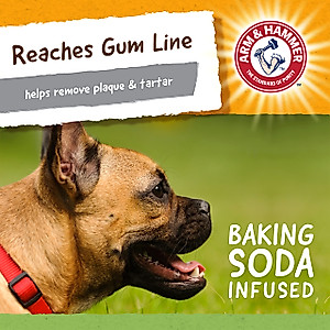 Arm & Hammer for Pets Super Treadz Gator Chew Toy - Best Chew Toys Reduce Plaque & Tartar Buildup Without Brushing - For Dogs up to 35 Lbs