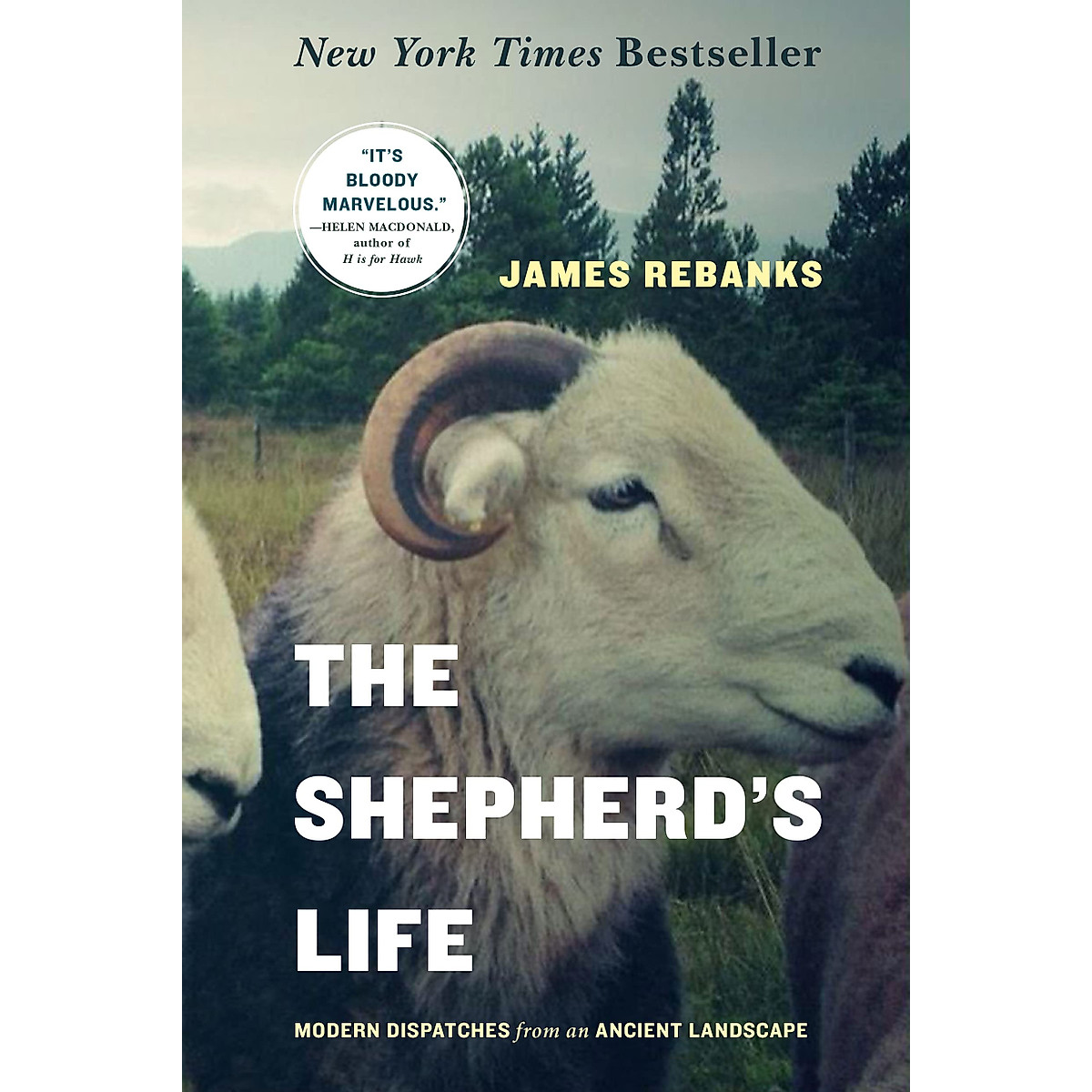 The Shepherd's Life: Modern Dispatches from an Ancient Landscape