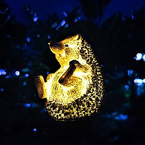 XURLEQ Garden Solar Light Outdoor Decor, Resin Hedgehog Solar LED Light for Outdoor, Animal Waterproof Light for Flower Fence Lawn Passage Walkway Courtyard Party Decoration, Hedgehog