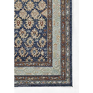 Momeni Lillihan Traditional Indoor Area Rug