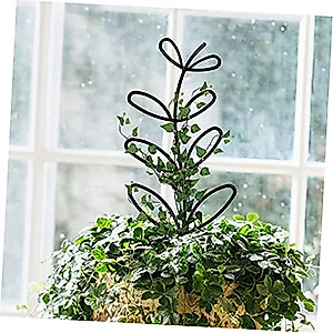 YARNOW 6 Pcs Plant Climbing Frame Indoor Decor Houseplants Live Indoor Green Roses Trellises for Plants Plant Cages Vine Plant Trellis Indoor Plant Trellis Plant Climbing Stand Iron Black