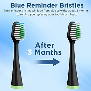 Replacement Brush Heads with Covers for AquaSonic Duo, 4 White & 4 Black Toothbrush Heads