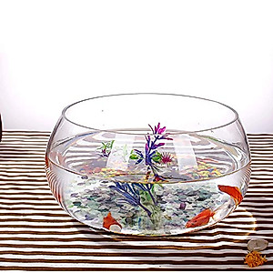 WYKOO Decorative Fluorite Tumbled Chips Stone, 1.1 Lb/500g Natural Crystal Pebbles Quartz Stones Irregular Shaped Aquarium Gravel for Fish Tank, Vase Fillers, Home Decoration (About 500 Gram)