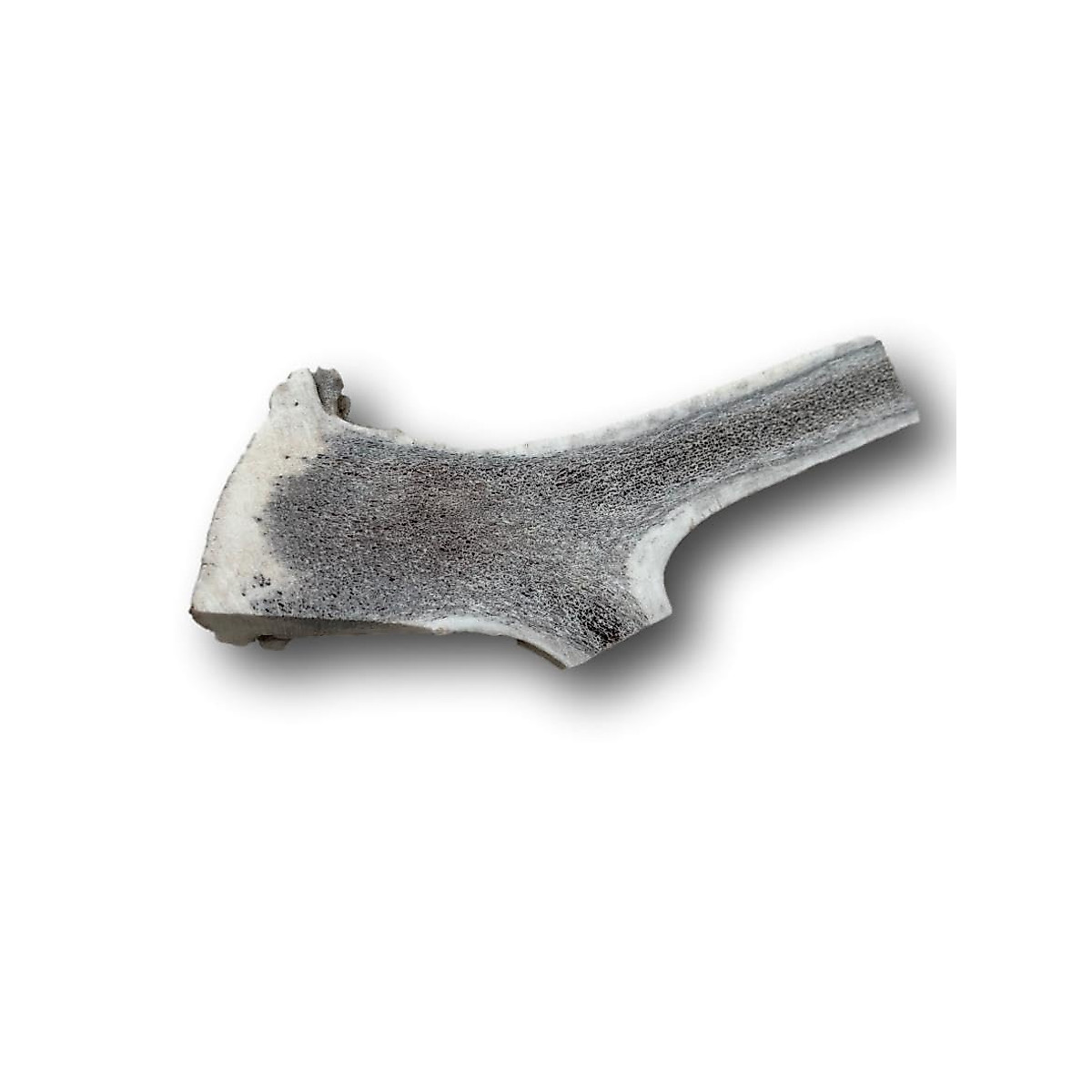 Top Dog Chews - Huge Split Elk Antler (Ideal for Dogs Over 40lbs) - (8-10 Inches) - All Natural and Long Lasting Dog Chew for Aggressive Chewers - 1 Count