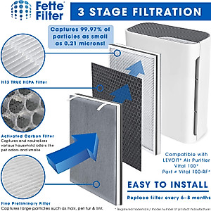 Fette Filter - Vital 100 True HEPA Replacement Filter Compatible with LEVOIT Vital 100 Air Purifier, 3-in-1 filtration system. Replace Part # Vital 100-RF - Pack of 2