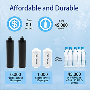 Renami Gravity Water Filter Replacement for Berkey® BB9-2® Black Filters & PF-2® Fluoride Filters, Compatible with Berkey® Gravity Water Filter System, Combo Pack