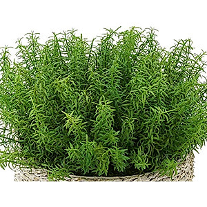 House of Silk Flowers Faux Rosemary Grass in Large Seagrass Tray Basket (White-Wash Seagrass)