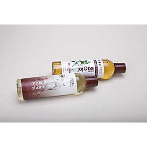 EDEN BodyWorks JojOba Monoi Moisturizing Shampoo | 8 oz | Gently Cleanse, Nourish, & Protect Hair and Scalp - Packaging May Vary
