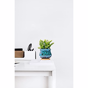 Cute Ceramic Succulent Garden Pots, Planter with Drainage and Attached Saucer, Set of 5 - Plants Not Included (Fambe)