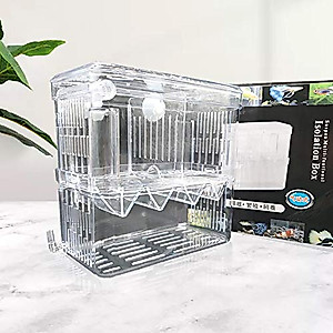 Fortune-star Fish Breeding Box Aquarium Fish Tank Hatchery Incubator Breeder Box Fish Breeding Tanks Acrylic White Breeder Isolation Divider Hatching Boxes with Suction Cups