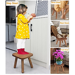 zaowofires Solid Wood Step Stool，Milking Stool, Plant Stand, Round Foot Stool, Removable Portable Stool, Shoe Changing Stool, Small Short Stooll (Walnut)