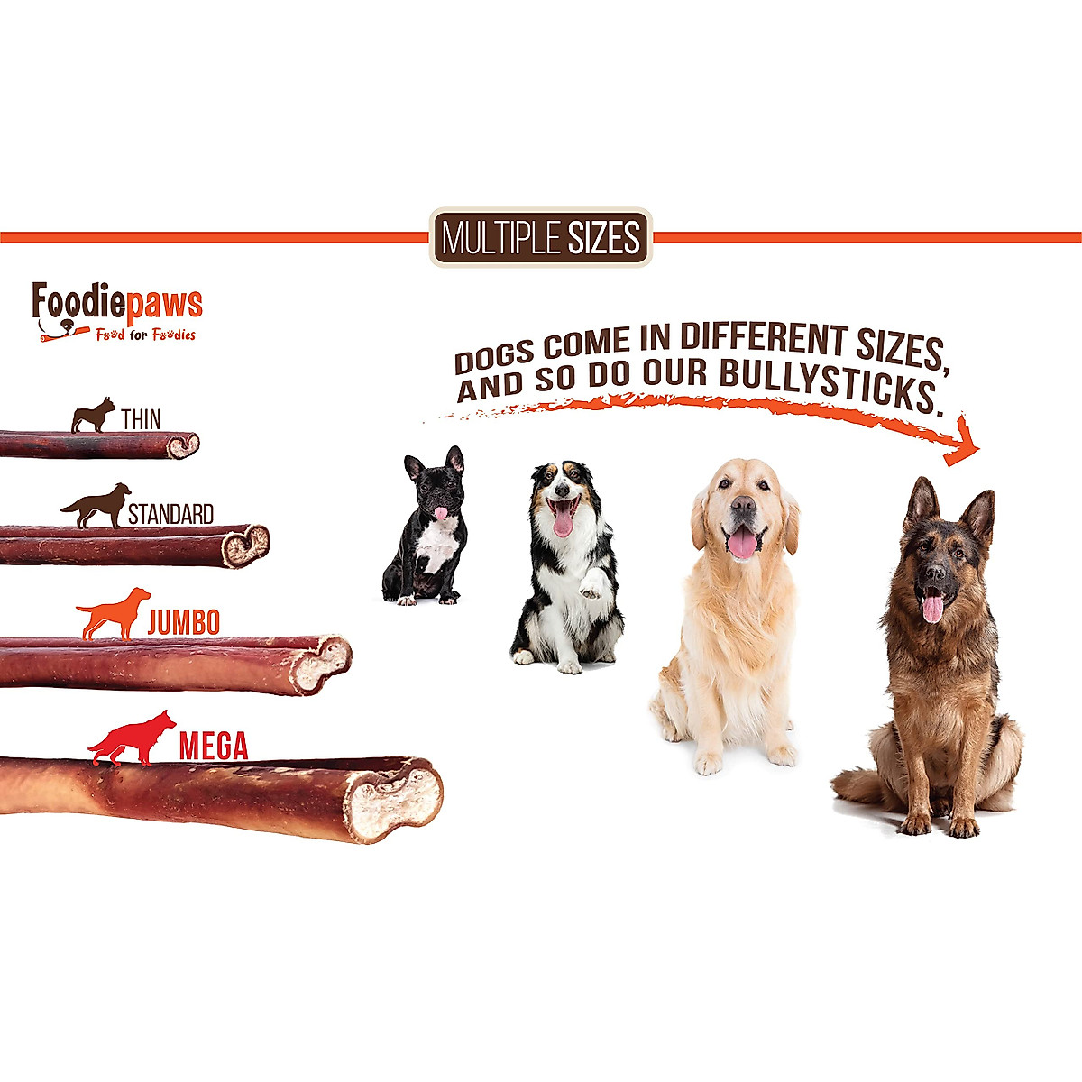 FOODIEPAWS All Natural 6-inch Jumbo Bully Sticks Odor Free USA Packed for Medium, Large Dogs- 100% Free-Range Grass-Fed Beef-Single Ingredient & Rawhide Free-Longer Lasting Dental Dog Chews 10 Pcs