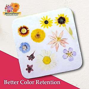 Microfleur 20 Pc Max Liners Max 9" Microwave Flower Press, Extra/Replacement Liners 20 Pc Liners (10 Pair) - White Liners Only