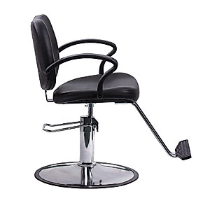Beauty Style Classic Hydraulic Barber Chair Styling Chair Salon Beauty Spa Equipment …