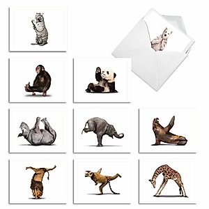 The Best Card Company - 10 Boxed Thank You Notes w/Envelopes, Assorted Stationery to Say Thanks for Men and Women - Zoo Yoga M6547TYG