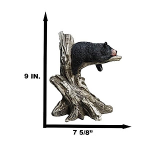 Ebros Lazy Days of Summer Black Bear Sleeping On Tree Branch Statue Wildlife Forest Rustic Cabin Decor Bear Figurine
