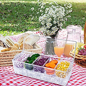 YOUBET Ice Chilled Condiment Server with 5 Removable Compartments-Ice Chilled Party Platter-Serving Tray Container-Plastic Storage Food Container Perfect for Wedding/Parties