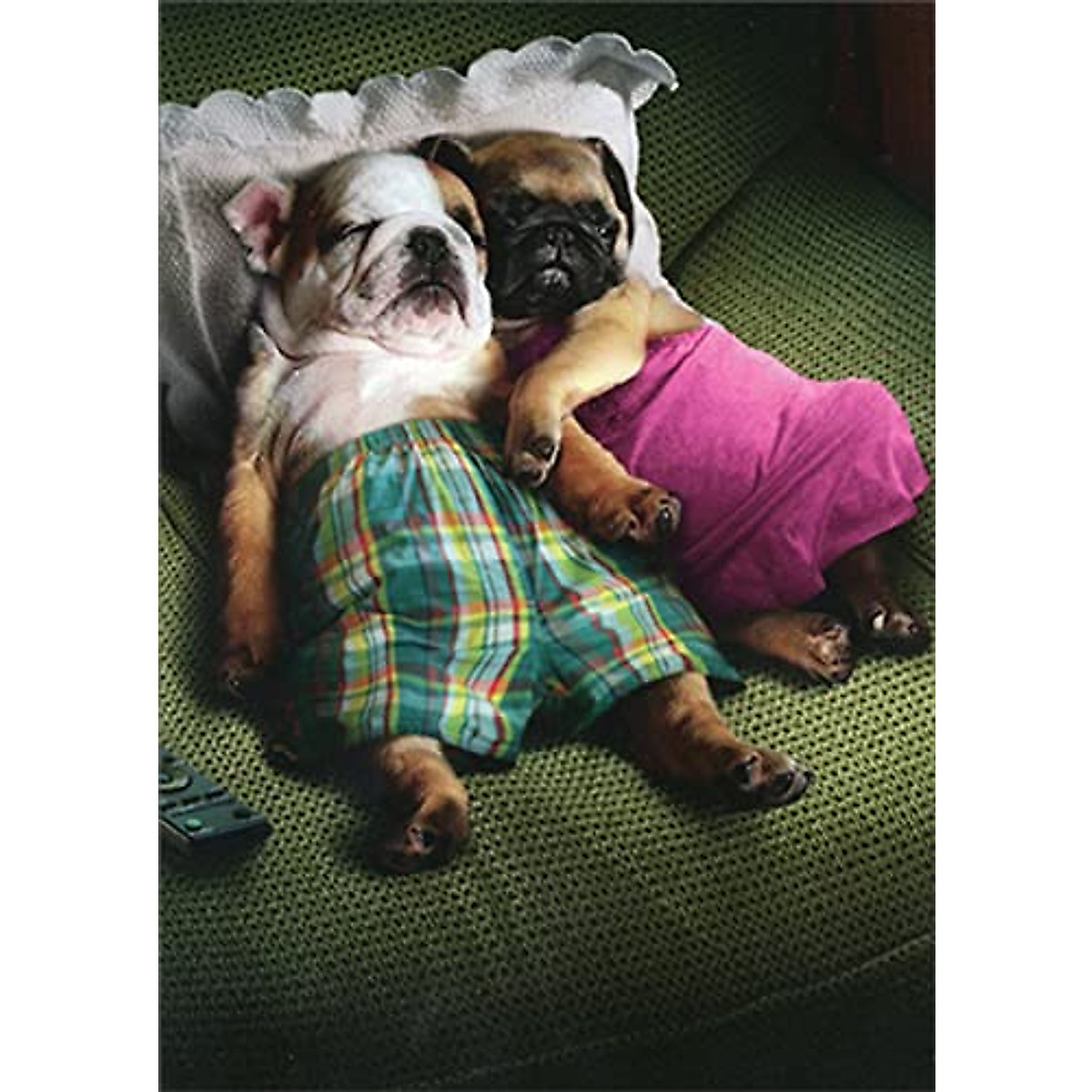 Avanti Press Dog Couple Resting on Pillow Cute Pug and Bulldog Romantic Valentine's Day Card