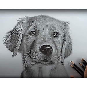 MUJINHUA - Sketch Pencils for Drawing, 15 Piece Graphite Pencils for Drawing, Sketching, and Shading - Ideal Art Supplies for Artists - Includes Various Hardness Options