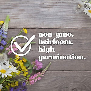 Package of 100,000 Wildflower Seeds - Save The Monarchs Wildflower Seeds Mix - 13 Assorted Varieties of Non-GMO Heirloom Flower Seeds for Planting Including Butterfly Milkweed, Echinacea, & Wallflower