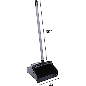 Genuine Joe Lobby Dust Pan