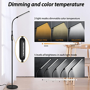 Dragon-Hub Bright Led Floor Lamp with Remote, Floor Light Touch, 3 Colors 5 Brightness 10 Mins Timer, Eyelash Lamp for Eyelash Extensions Lash Light Reading Lamp (Black - R)