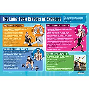 Daydream Education The Long-Term Effects of Exercise | PE Posters | Gloss Paper measuring 33” x 23.5” | Physical Education Charts for the Classroom | Education Charts