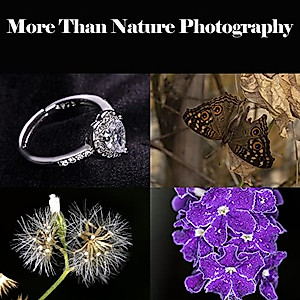 Godox ML-150II ML150II Macro LED Ring Flash Speedlite GN12 0.1-2s Recycle Time 5800K±200K for Sony Canon Nikon Fuji Olympus Panasonic DSLR Cameras for Video Production, Animal and Plant Photography