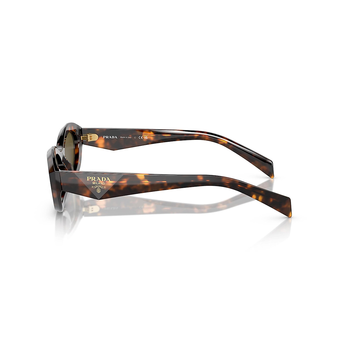 Prada PR 26ZS Honey Tortoise/Dark Brown One Size