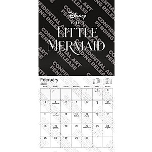 2024 Disney The Little Mermaid (Live Action) Wall Calendar