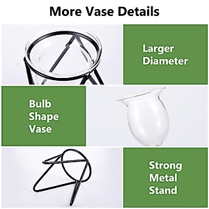 Jspupifip 3 Pcs Glass Plant Terrarium with Metal Stand, Air Plants Holders Hydroponic Plant Vases Desktop Bulb Glass Vase for Indoor Plants Home Garden Office Decoration, Black