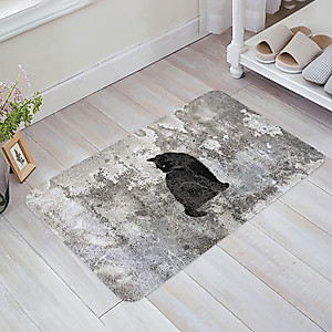 Front Door Mat Floor Mats for Home Decor, Black Cat Old Wall Memory Foam Runner Entryway Area Rug Non-Slip Absorbent Doormat Washable Rug, 18x30Inch Welcome Mats for Bedroom Decor Living Room Decor